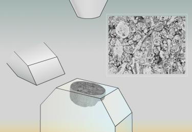 Serial Block-Face Imaging | Gatan, Inc.